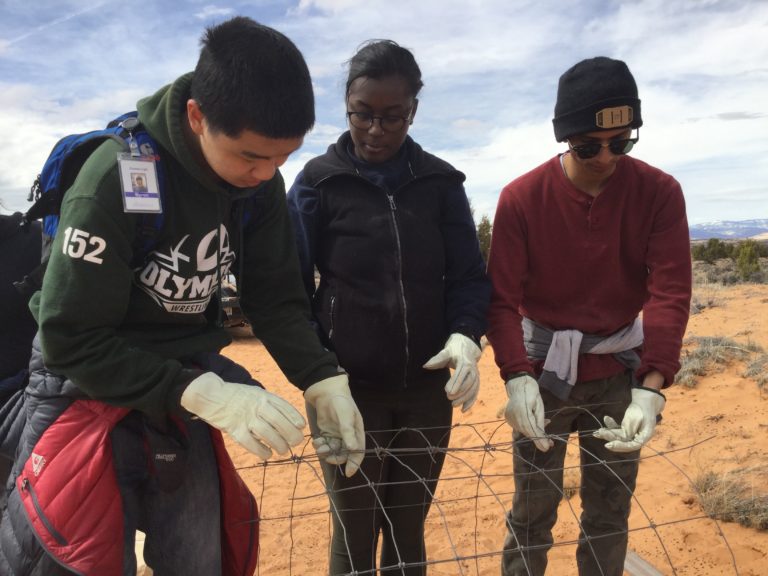 Join the Movement to Protect Wild Utah!