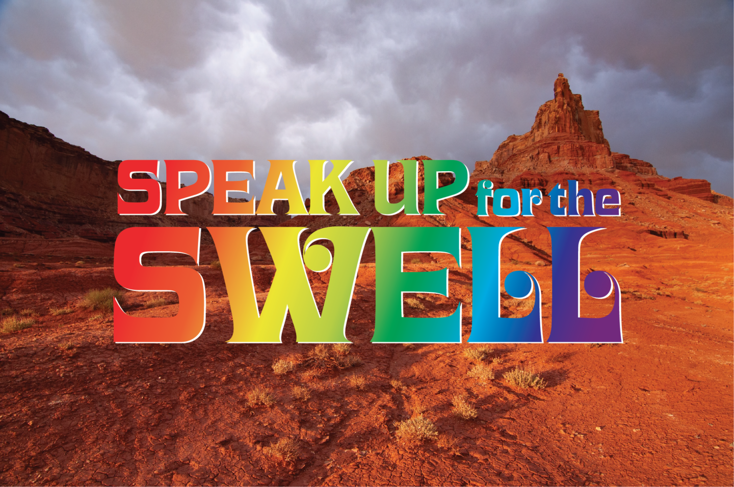 June 27 in SLC - Speak up for the Swell with SUWA!