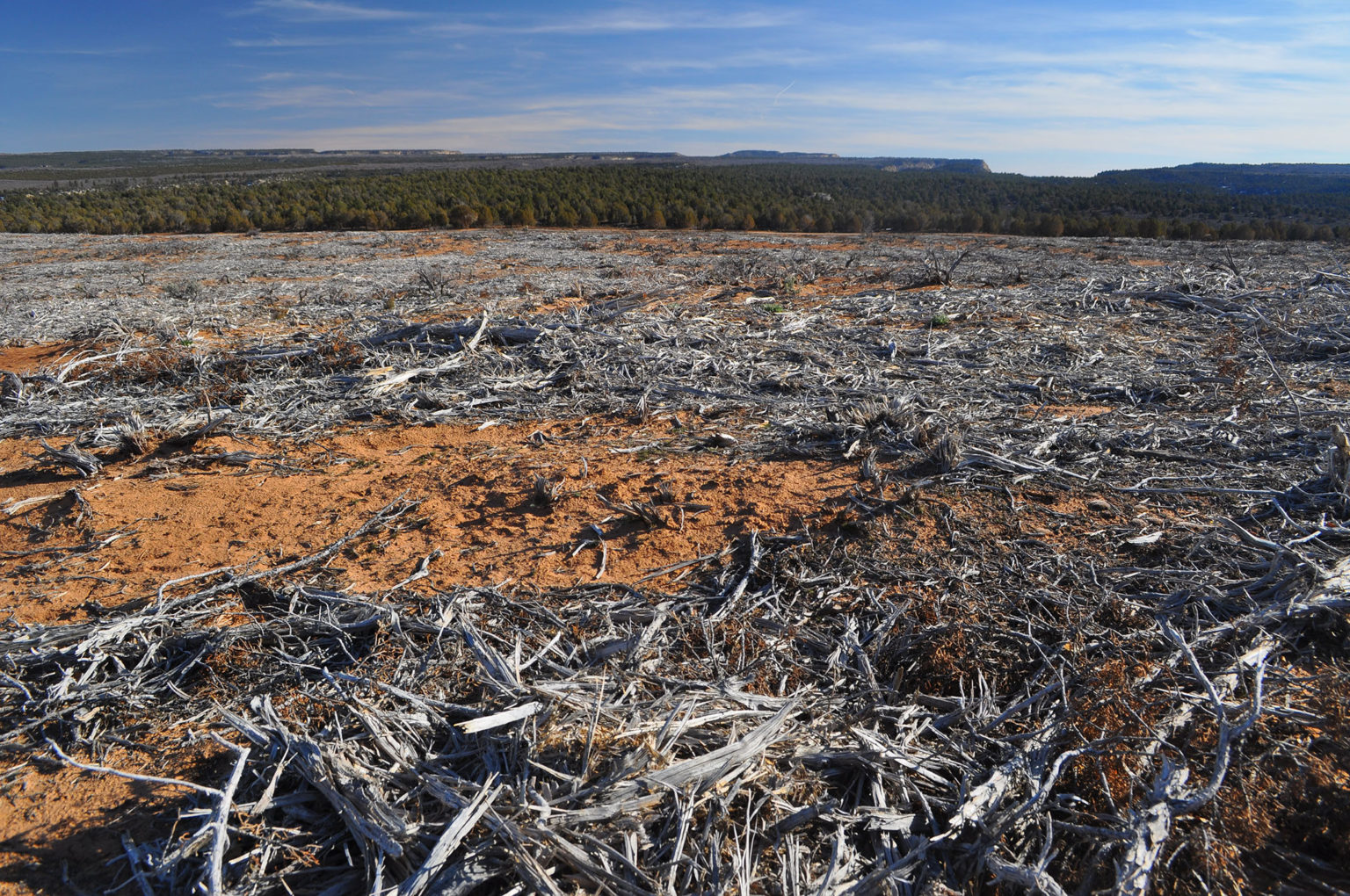 Vegetation Removal on Utah Public Lands