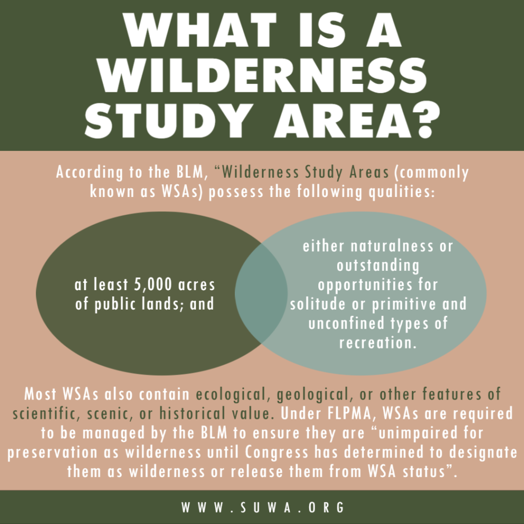 The Importance of Wilderness Study Areas