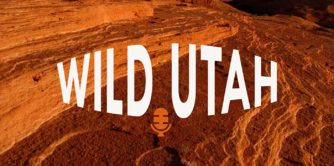 Southern Utah Wilderness Alliance
